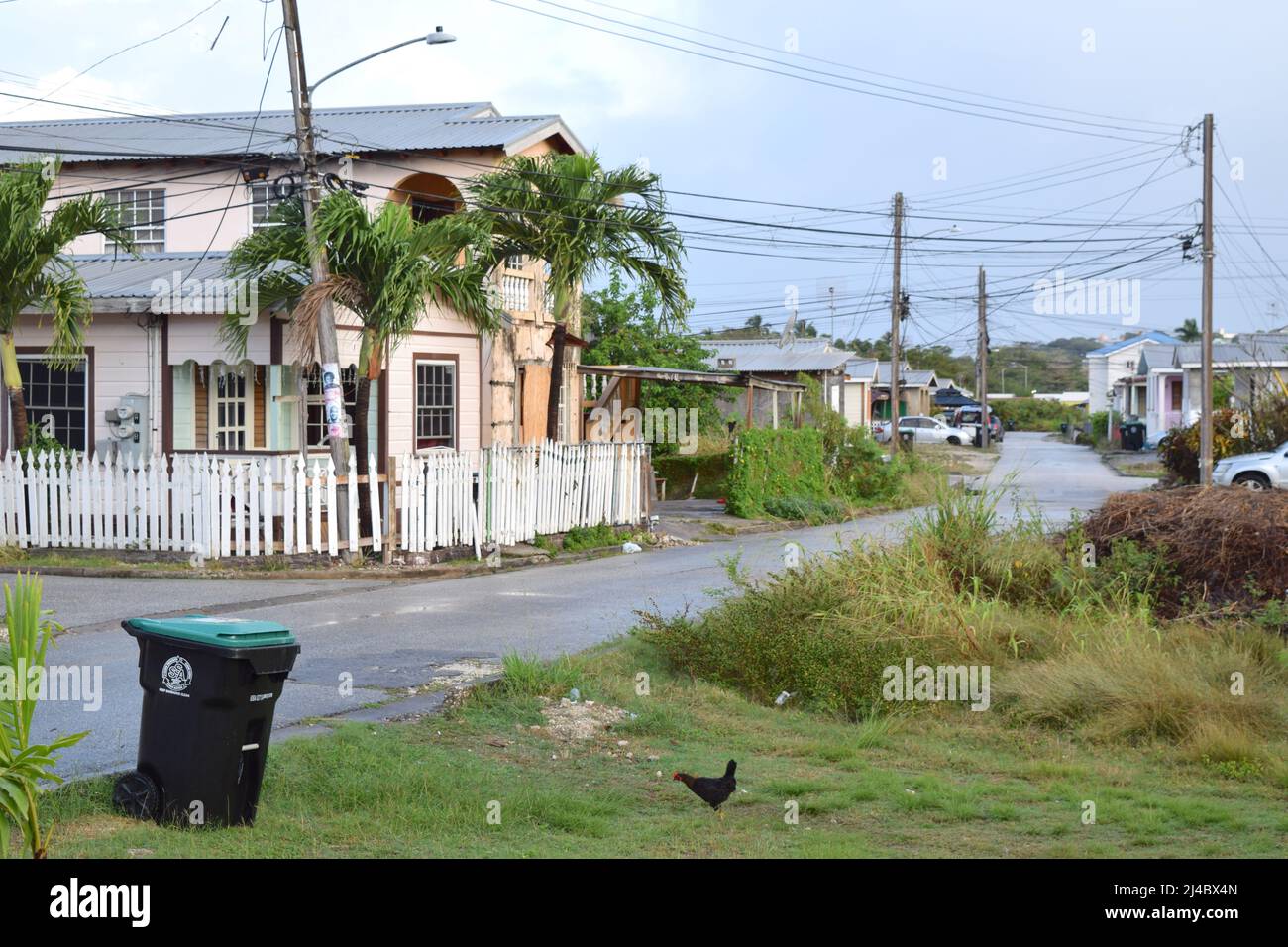 Barbados street view with houses and electric wires Stock Photo - Alamy