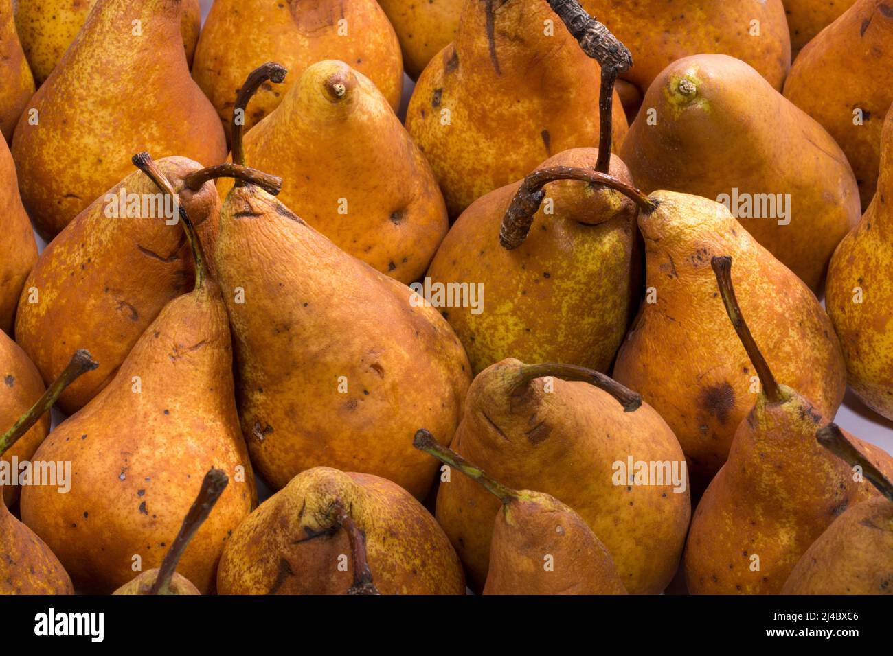 Pears varieties hi-res stock photography and images - Alamy
