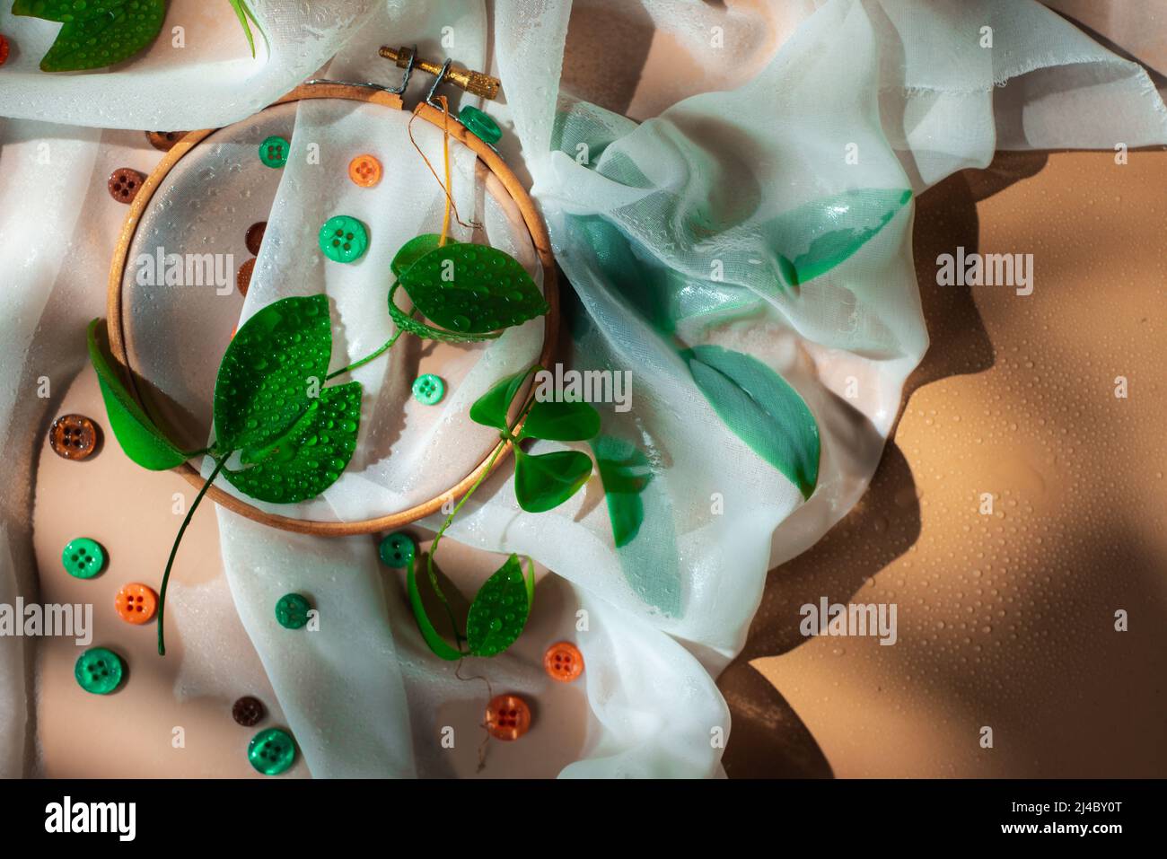 Growth, creativity and handiwork concept, embroidery hoop with green ...