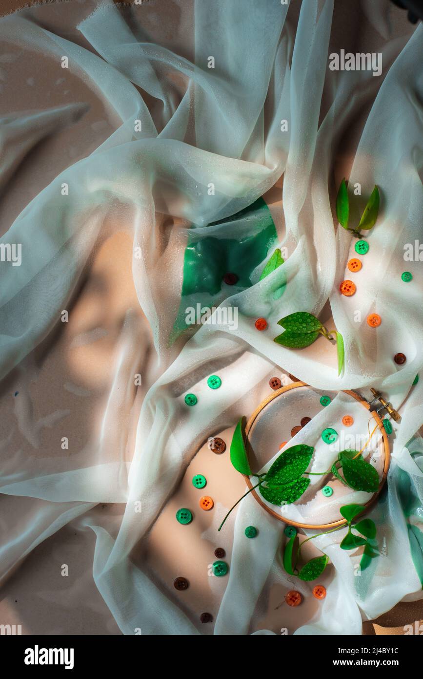 Growth, creativity and handiwork concept, embroidery hoop with green ...