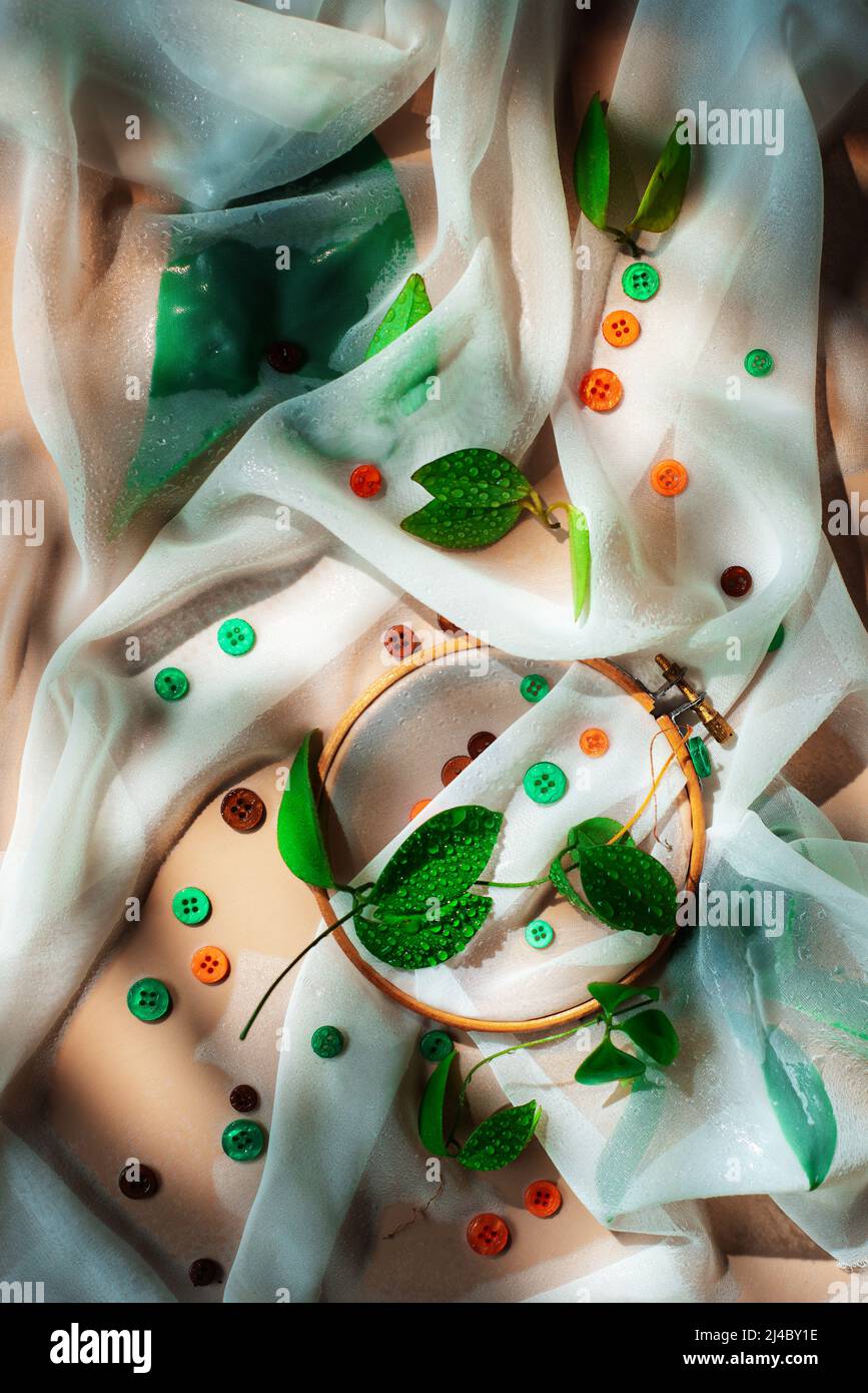 Growth, creativity and handiwork concept, embroidery hoop with green ...