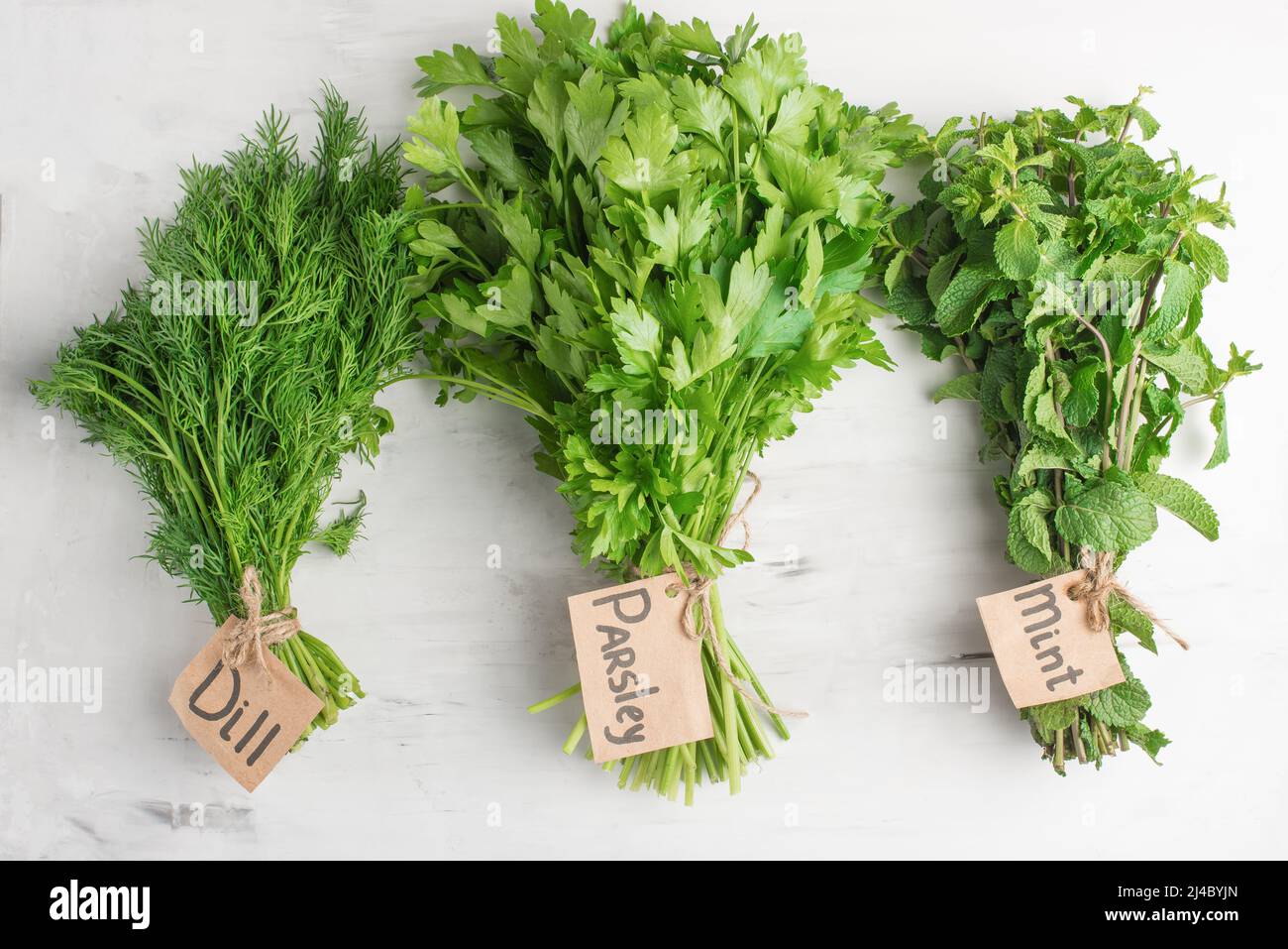 Mint dill hi-res stock photography and images - Alamy