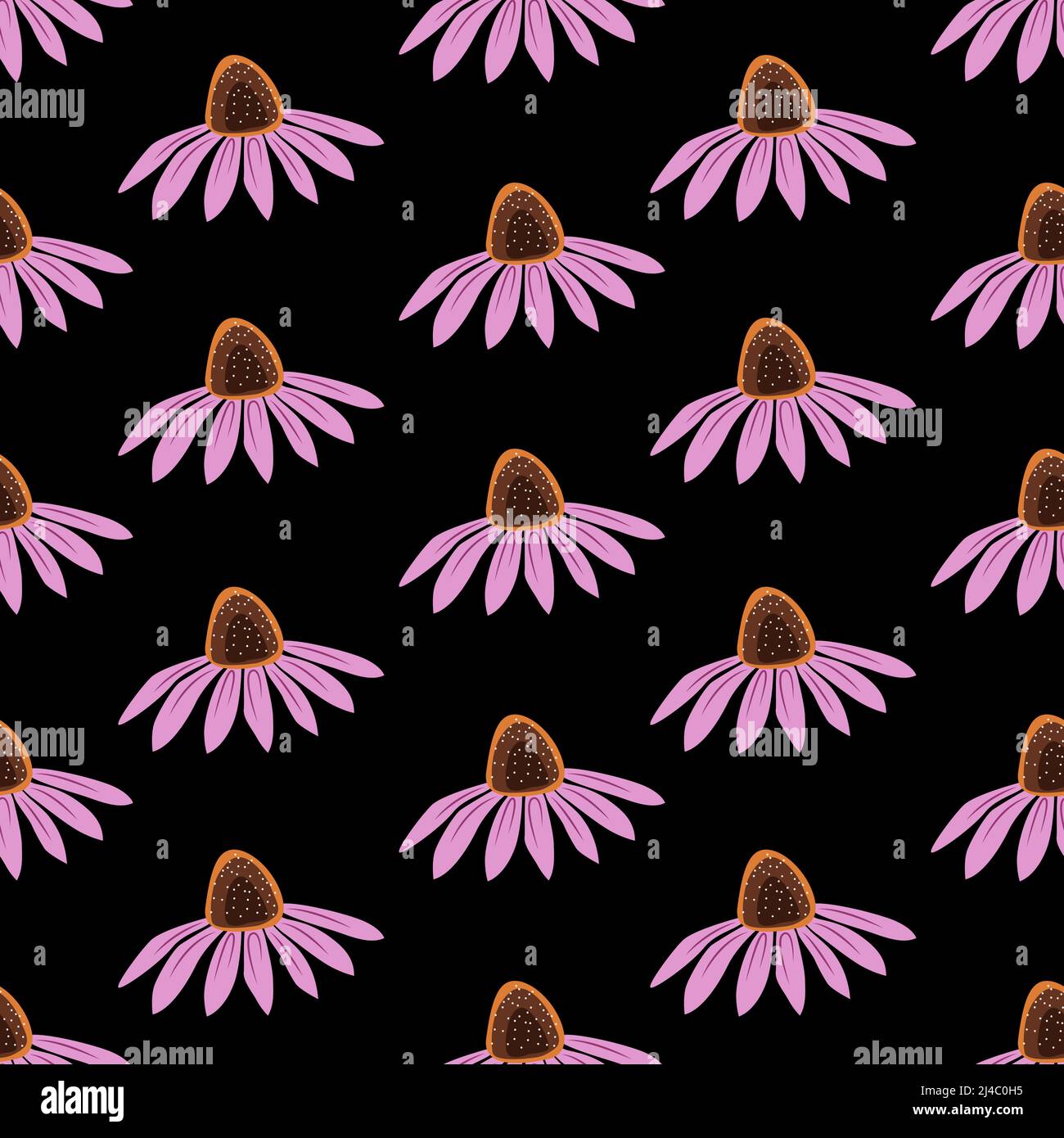 Echinacea floral design isolated on black background is in Seamless ...
