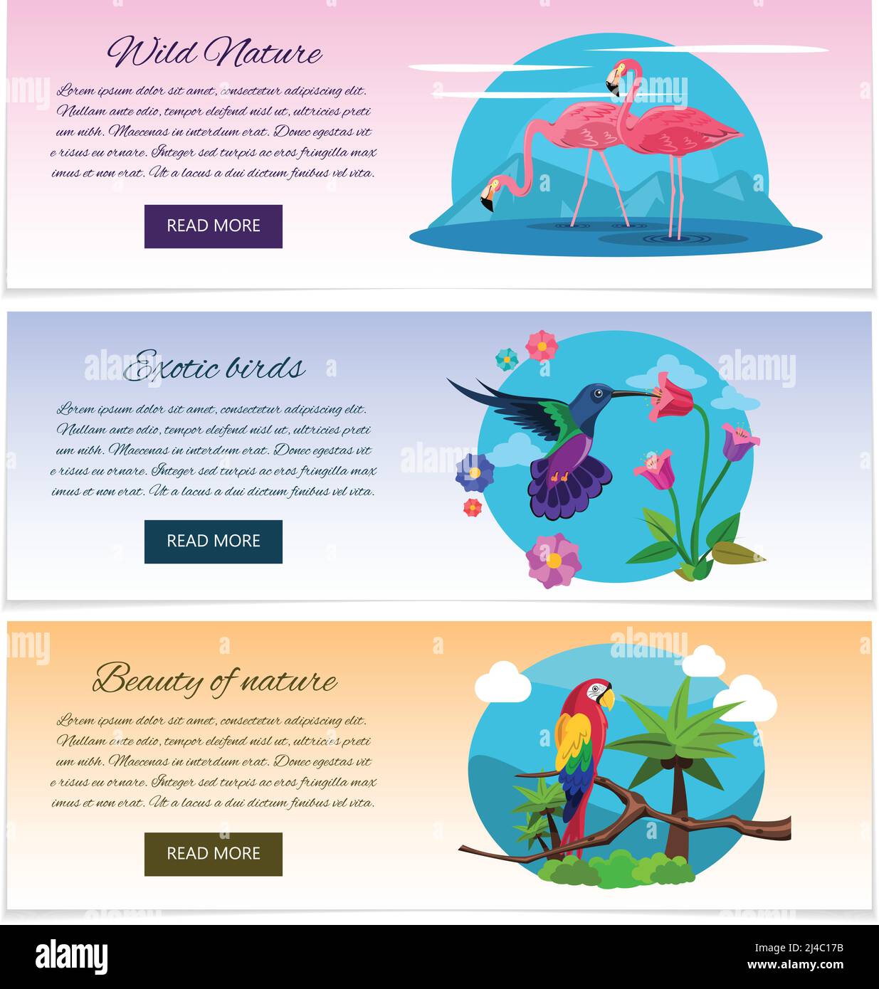 Tropical bird banner horizontal set with pink flamingo colibri and ...