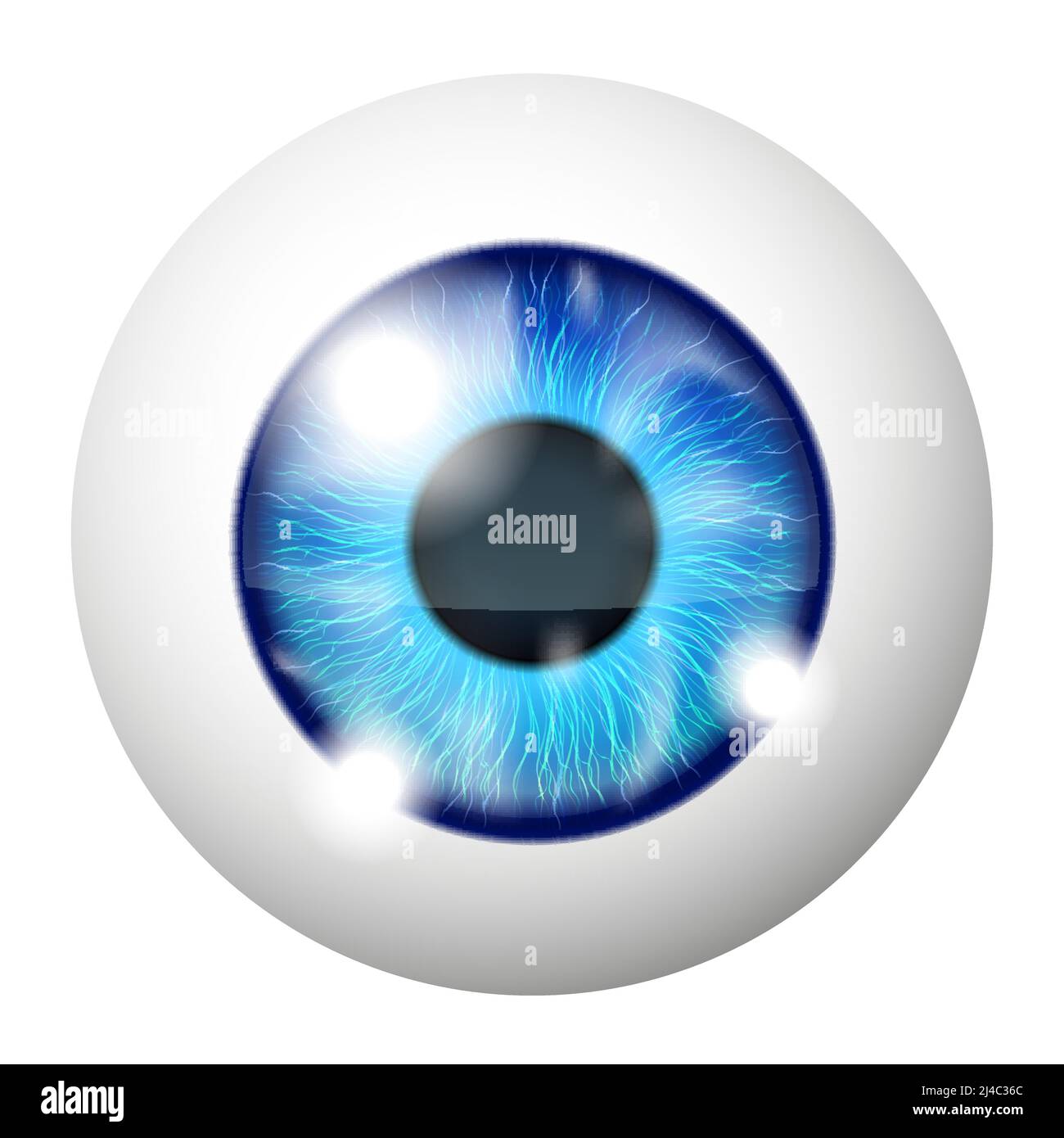 Vector Blue human eye macro over white Stock Vector Image & Art - Alamy