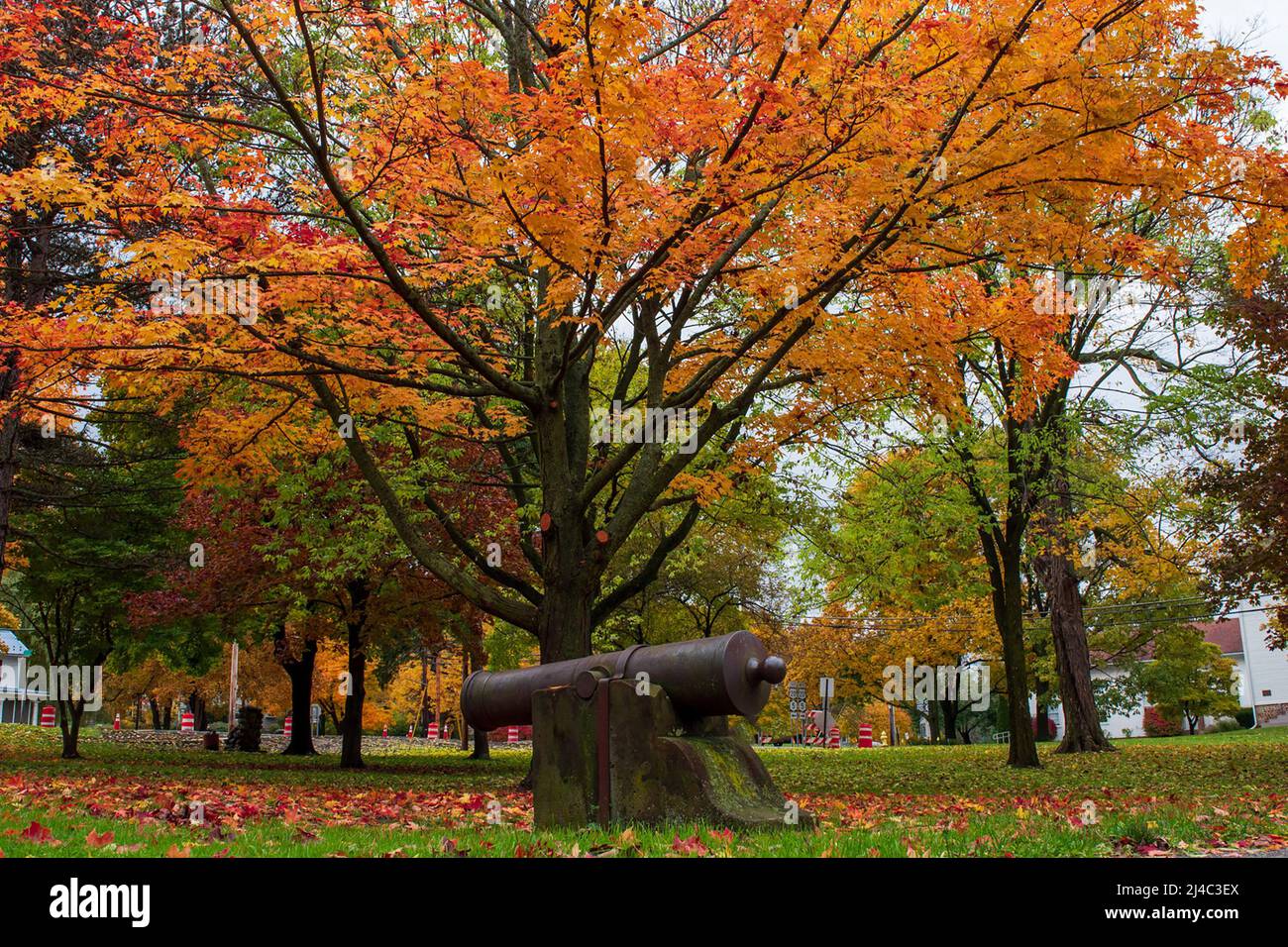 This is a picture of a cannon in a courtyard in Bloomfield New York ...