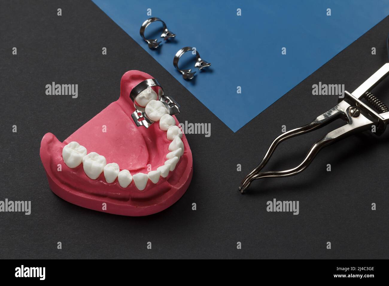 Layout of the human jaw, a rubber dam with a dental dam clamps and a ...
