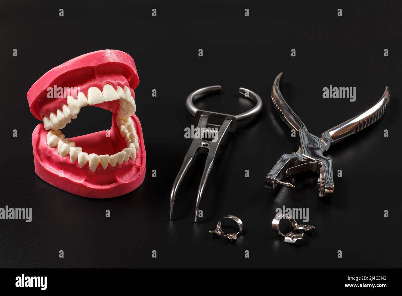 Layout of the human jaw with a rubber dam forcep, dental hole punch and ...