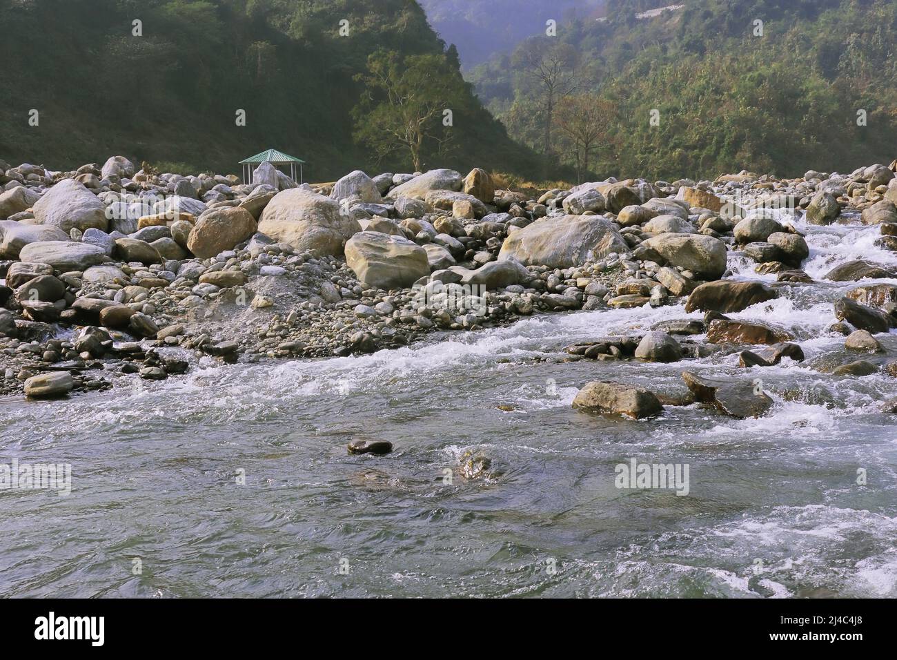 balason river is flowing through the boulders covered terai region at ...