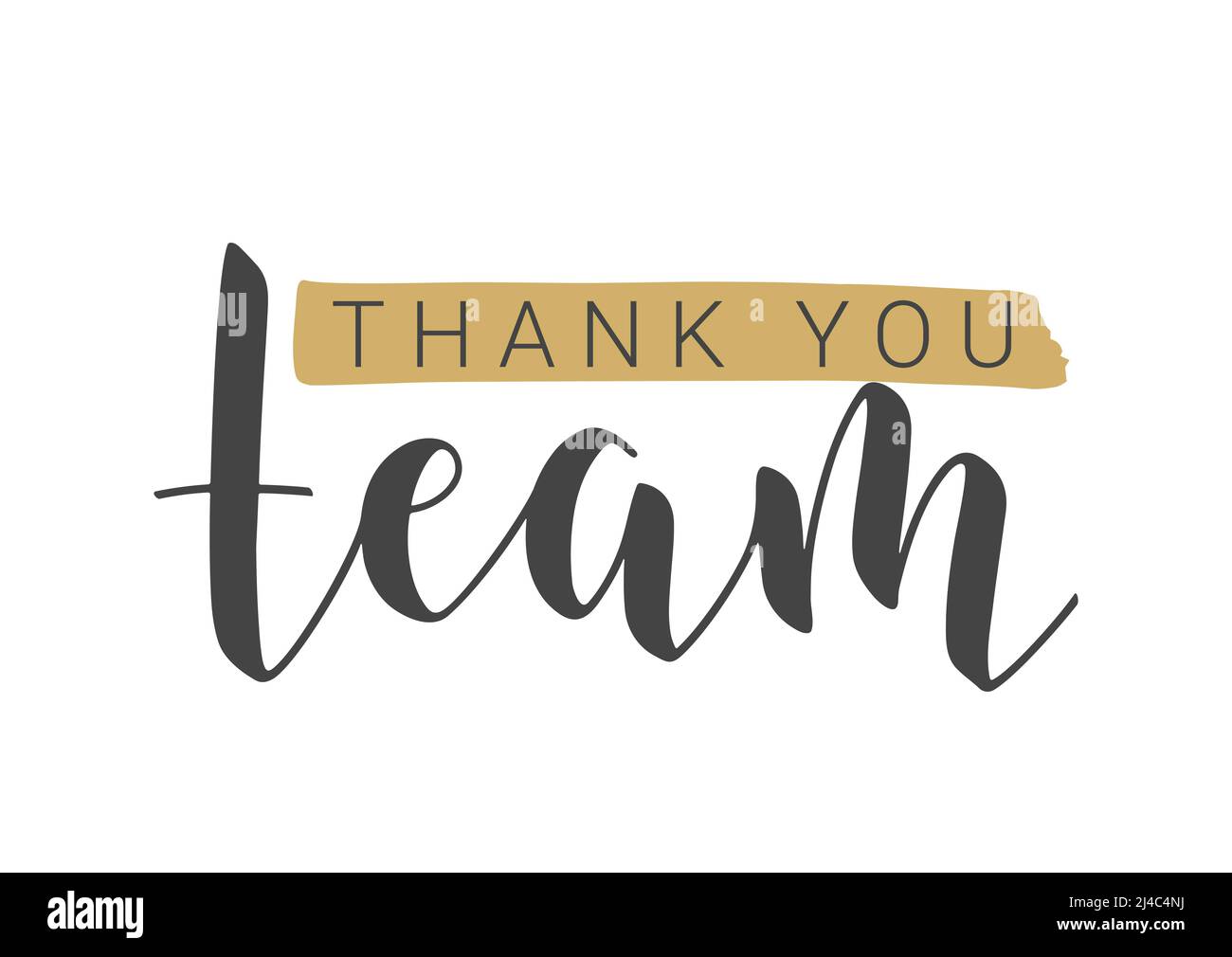 Vector Stock Illustration. Handwritten Lettering of Thank You Team. Template for Banner ...