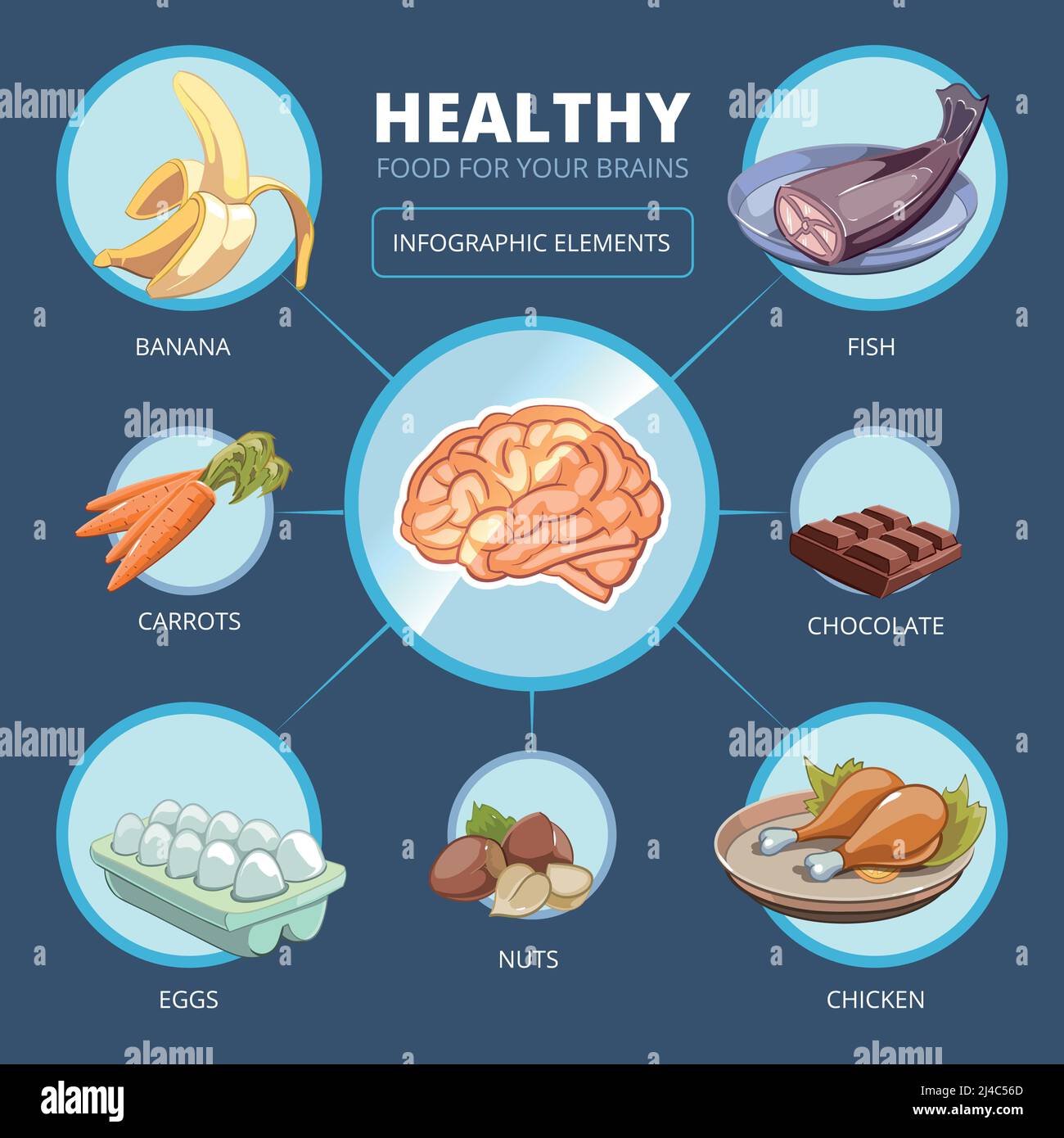 Brain food vector infographics. Meat and vitamin, energy for mind ...
