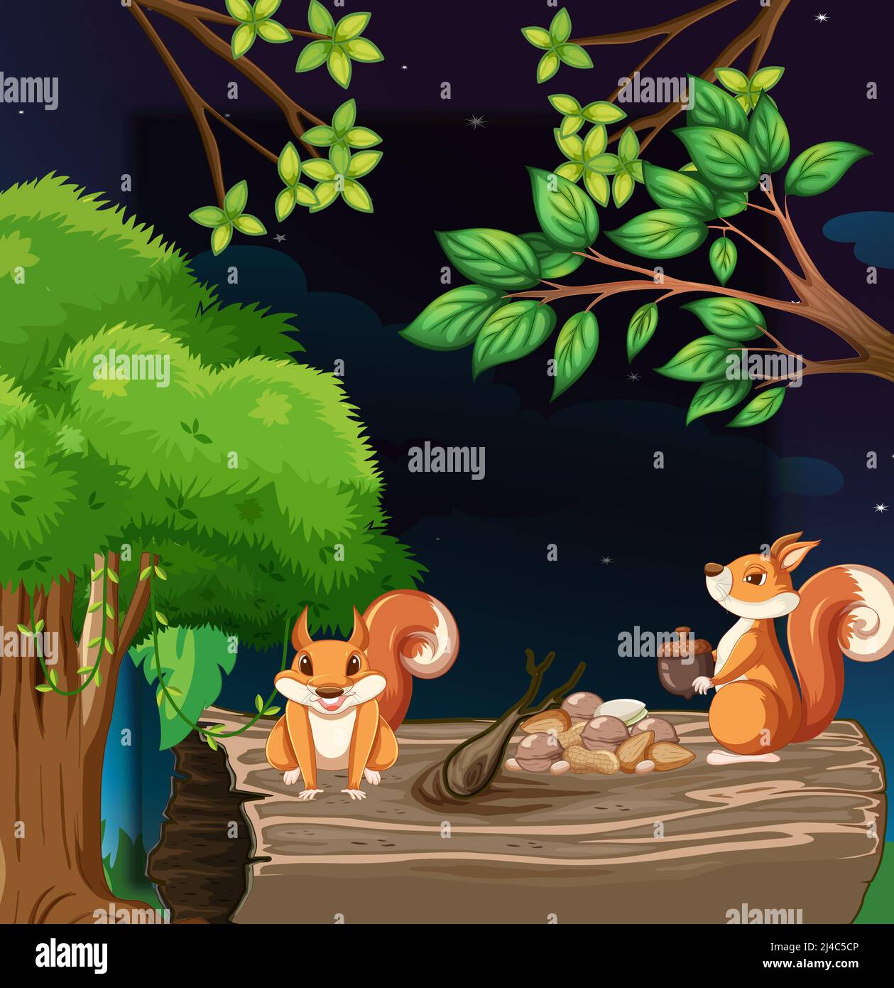 Two squirrels collecting nuts at night illustration Stock Photo - Alamy