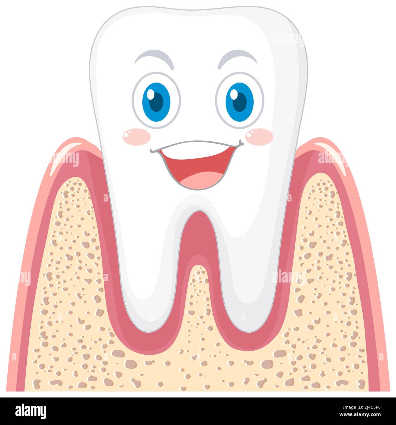 Happy strong tooth in gum on white background illustration Stock Photo ...