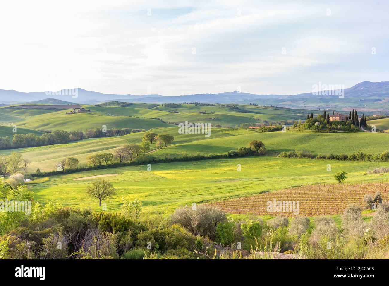 Rustic Tuscan landscape in Italy Stock Photo - Alamy