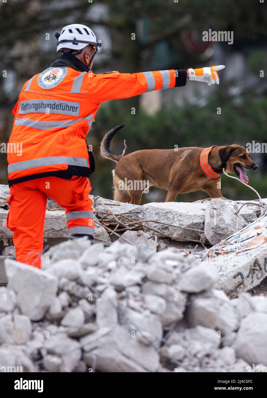 Drk rescue dog squadron hi-res stock photography and images - Alamy