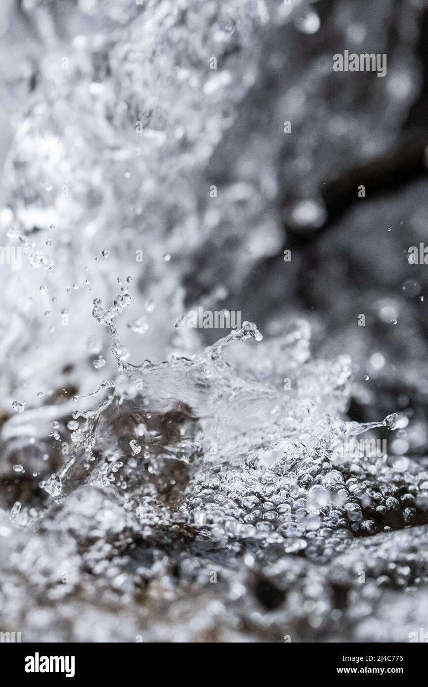Rottweil, Germany. 13th Apr, 2022. A stream flows in a wooded area near ...