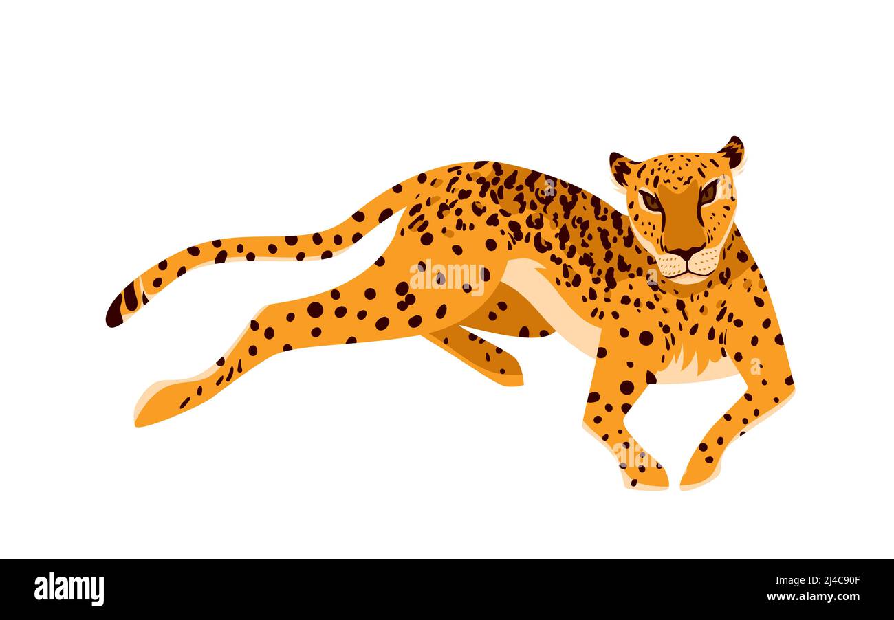 Leopard, African exotic predator, portrait of wild elegant animal from ...