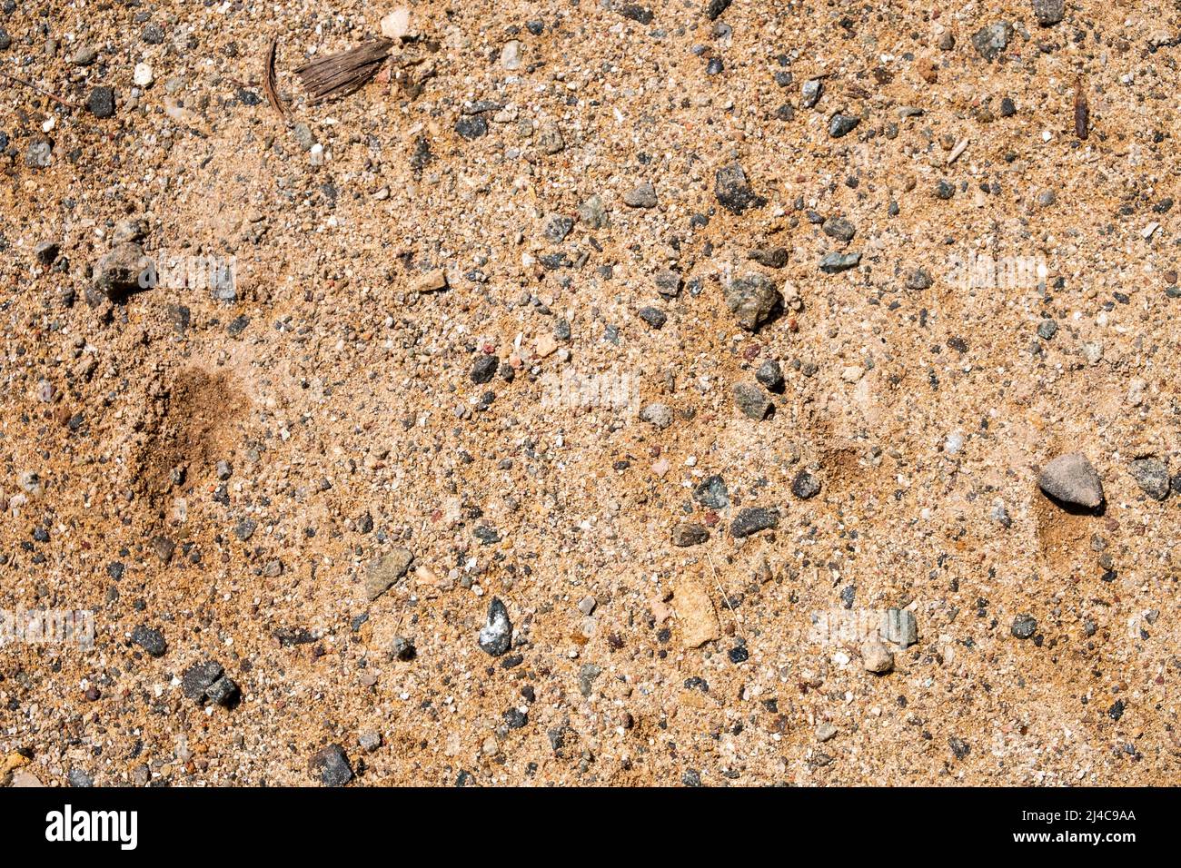 Sand ground textured Stock Photo - Alamy