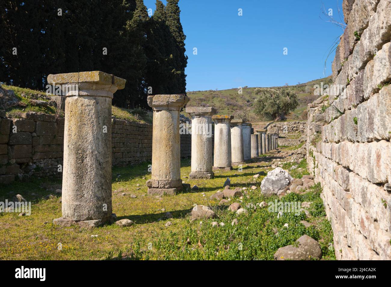 Thick column hi-res stock photography and images - Alamy