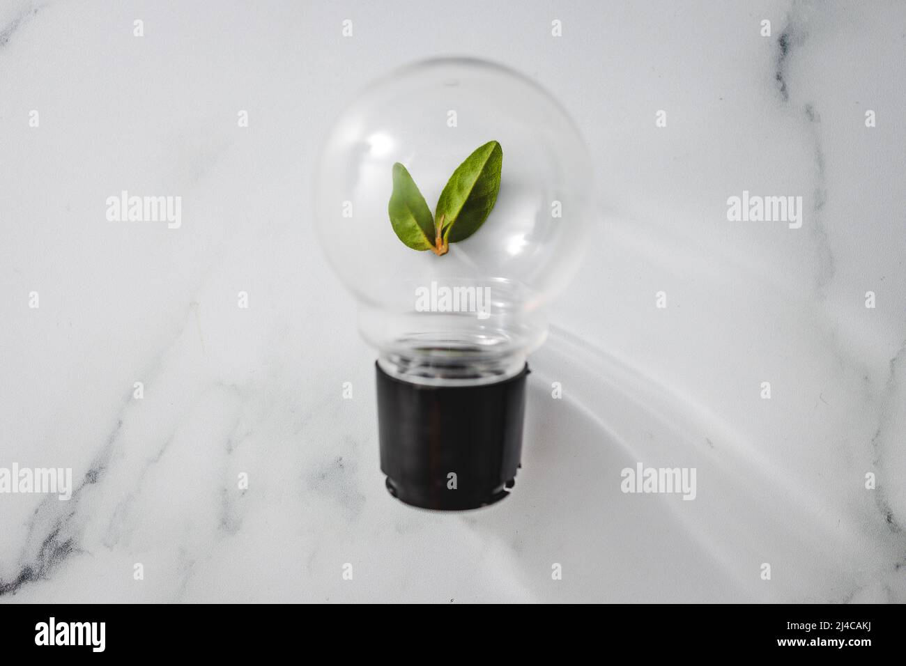 ideas for sustainability and the environment, lightbulb with perfect ...