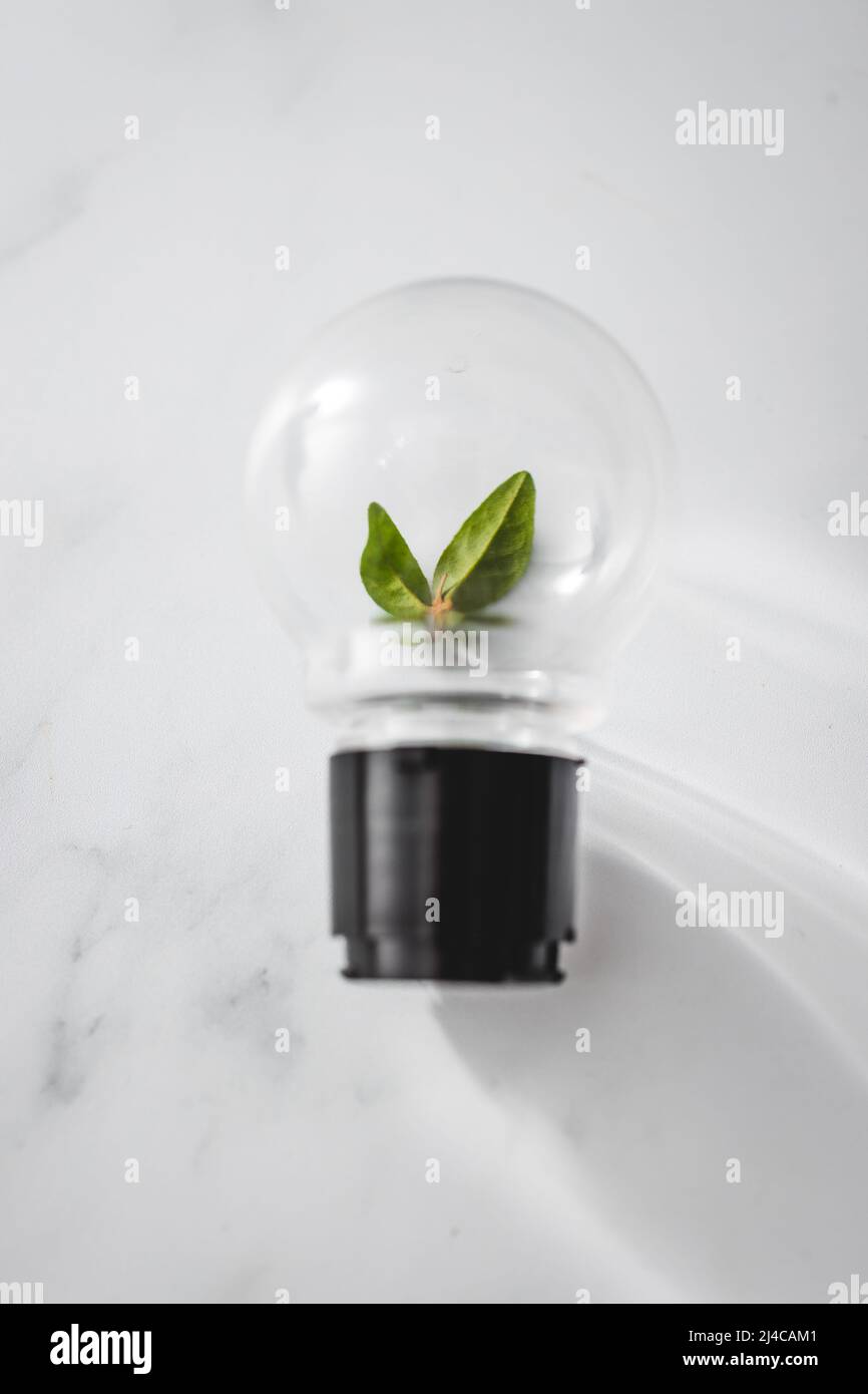 ideas for sustainability and the environment, lightbulb with perfect ...