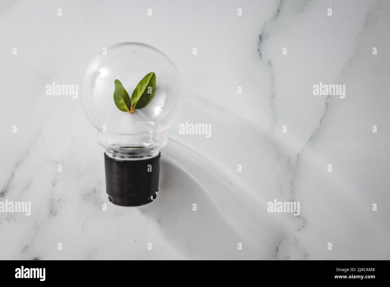 ideas for sustainability and the environment, lightbulb with perfect ...