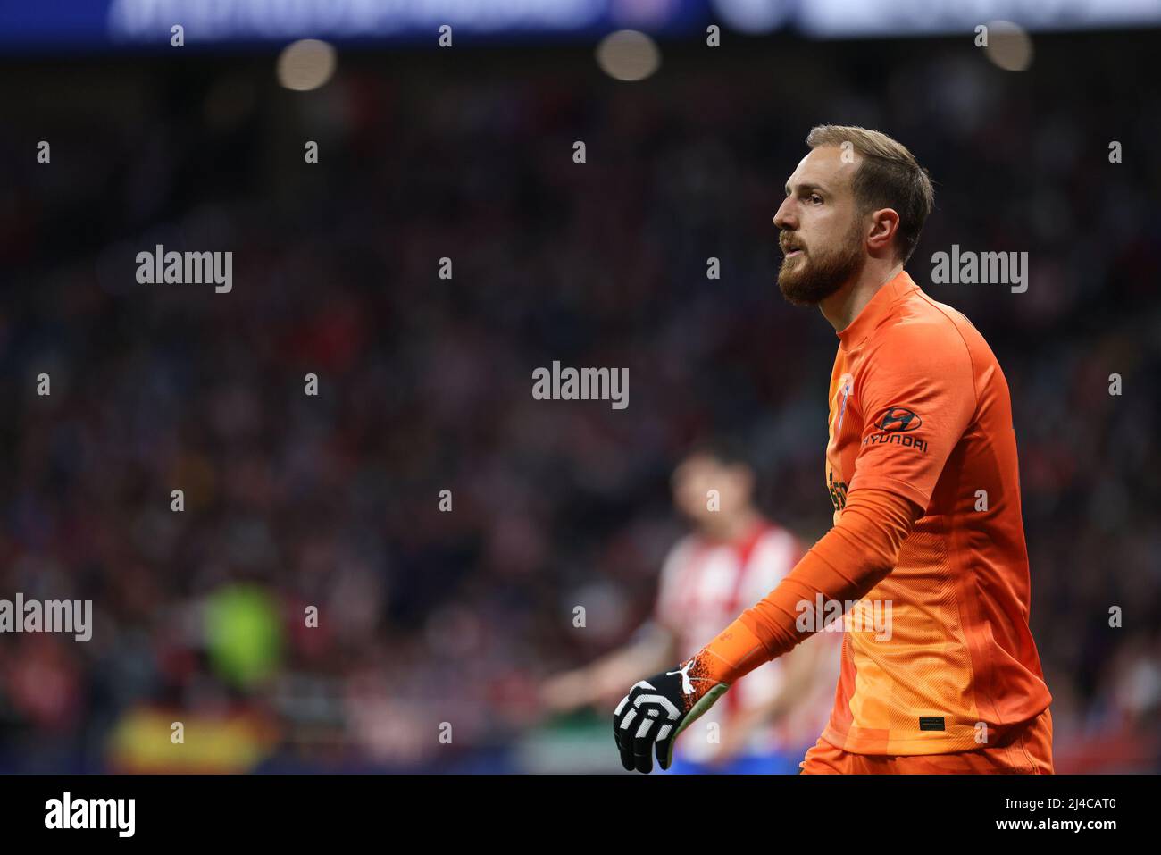 Jan oblak 2022 hi-res stock photography and images - Alamy