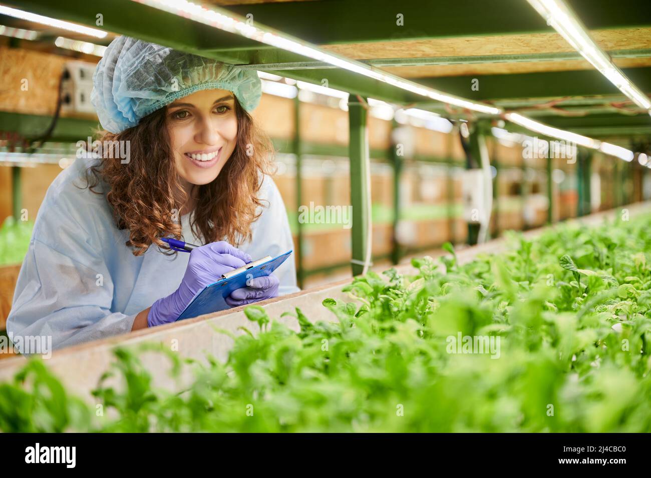 Female researcher in disposable cap looking at green leafy plants and ...
