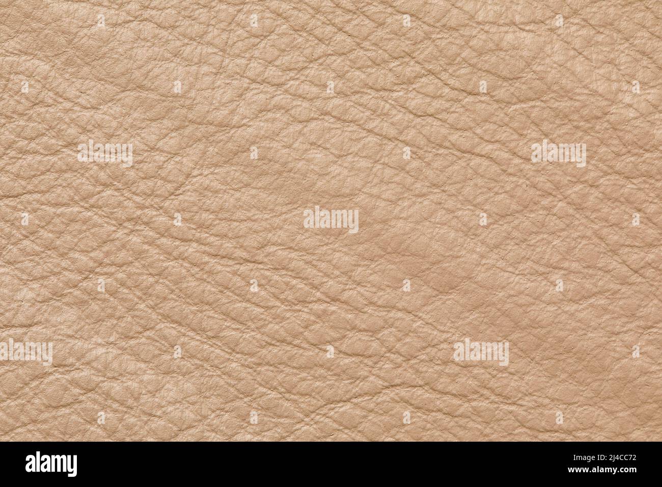 The ecru color beige leather sample . Abstract background with copy ...