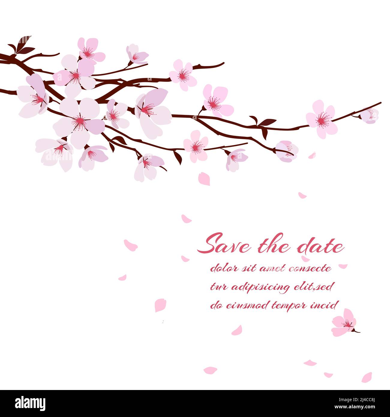 Beautiful springtime background sakura flowers Stock Vector Images - Alamy