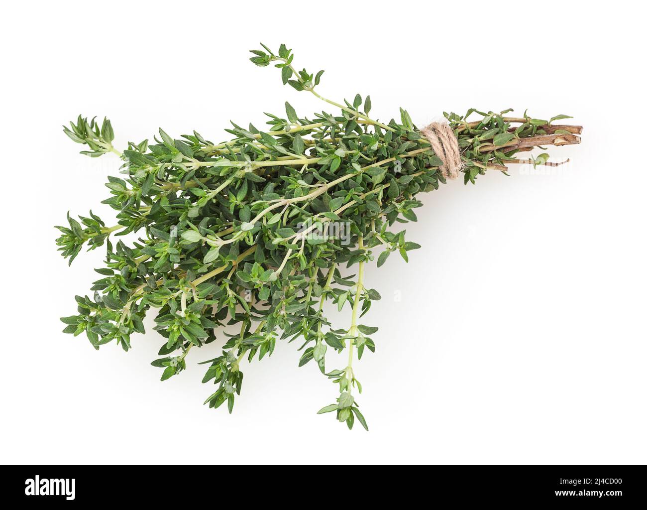Fresh thyme isolated on white background Stock Photo - Alamy