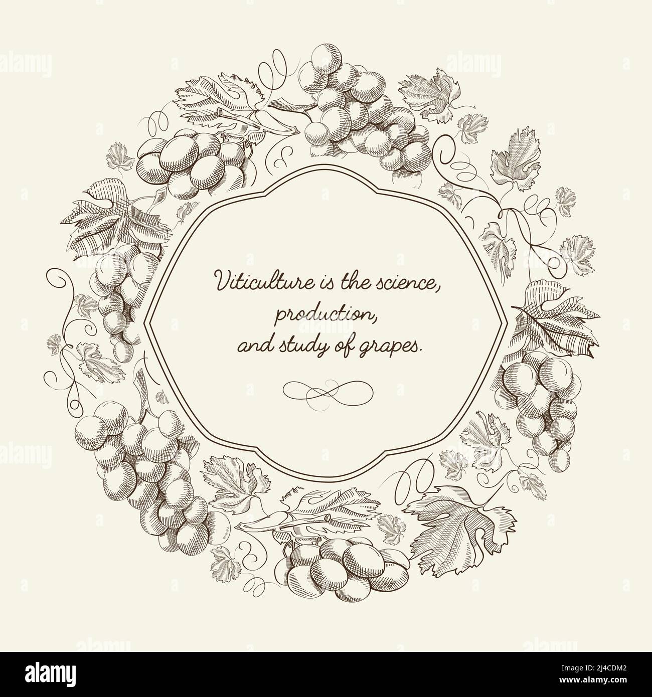 Abstract decorative natural sketch poster with bunches of grapes and ...
