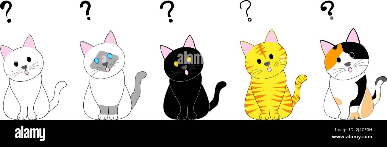 Cat question mark hi-res stock photography and images - Alamy