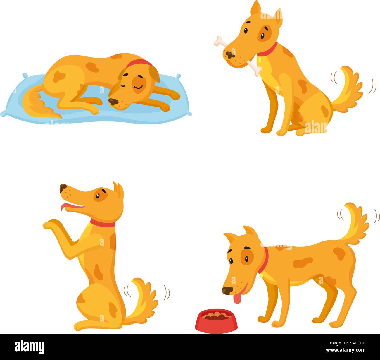 Gnawing action Cut Out Stock Images & Pictures - Alamy