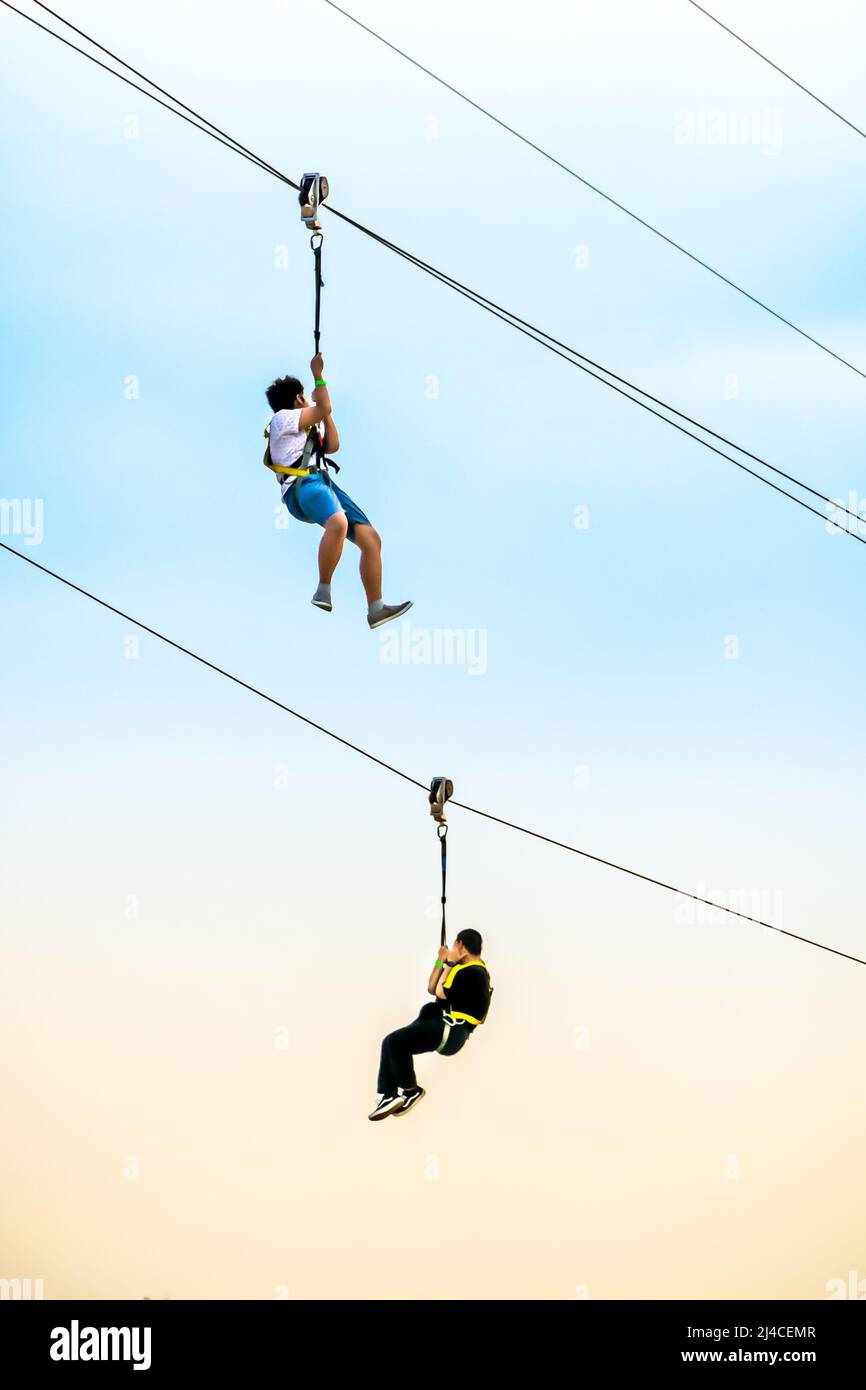 Megazip is a 450 meter zipline over the Imbiah hill jungle, Siloso ...