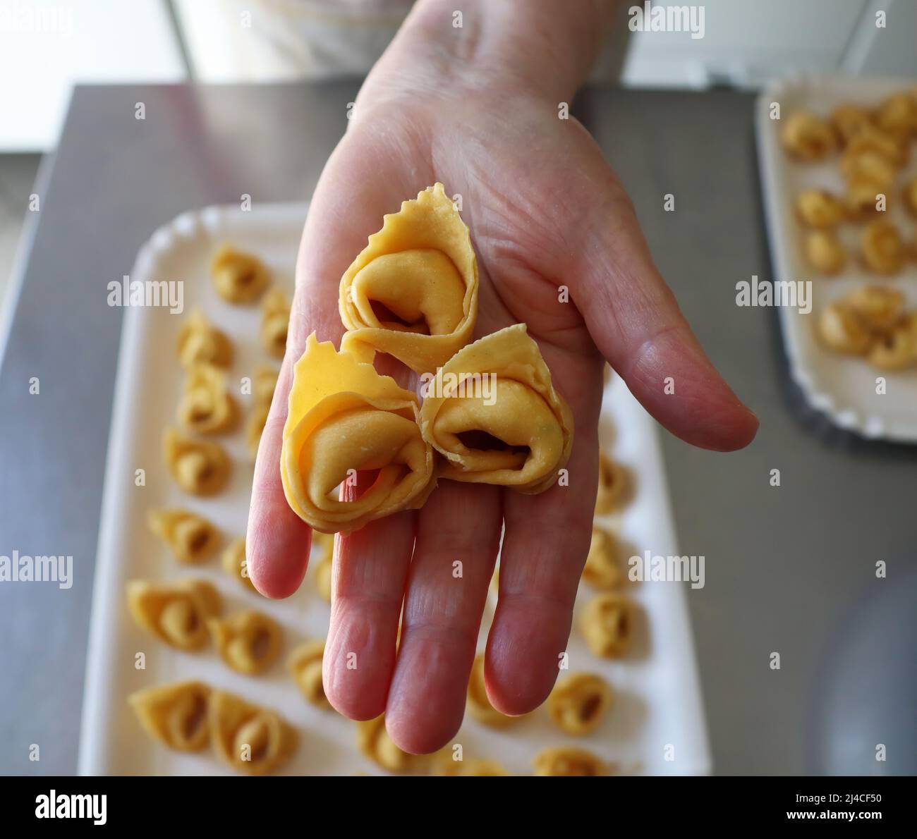 Italian female cook holds three uncooked Tortellini Pasta in her hand ...