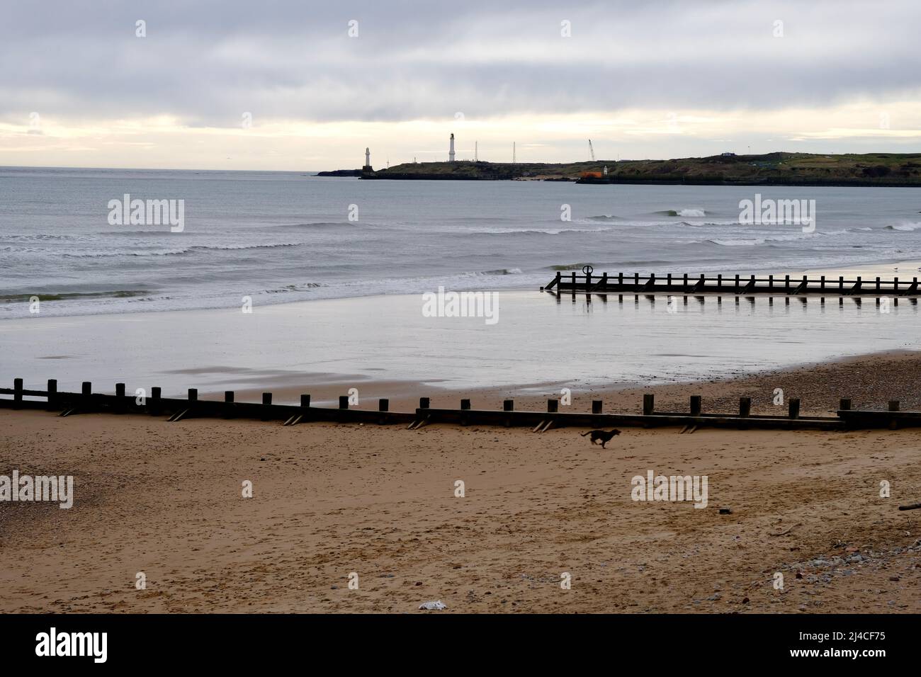 A cold winters day on the esplanade in Aberdeen Aberdeenshire Scotland ...