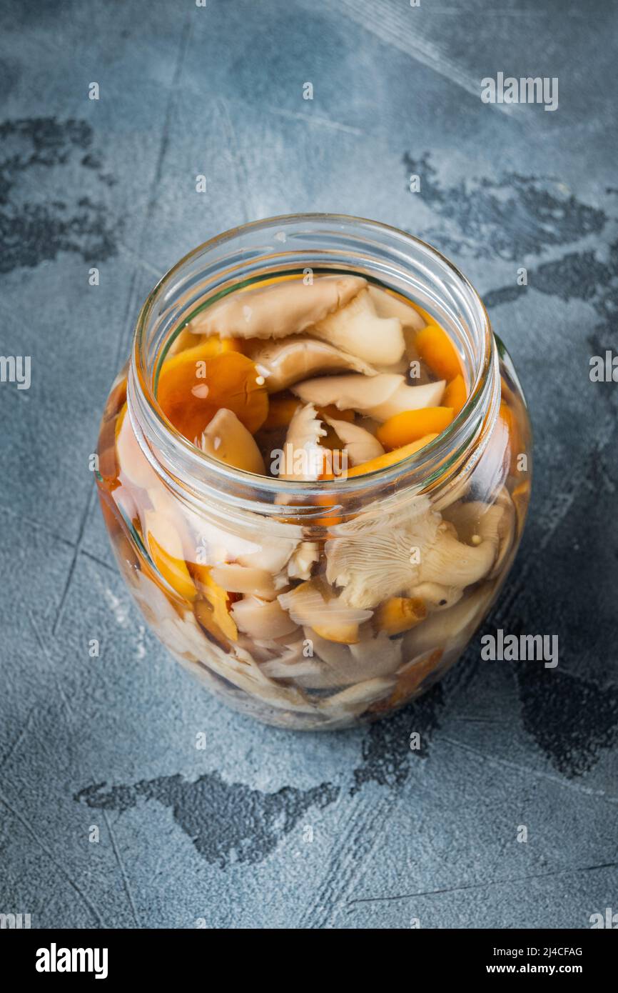 Fermented food: Mushroom preservation set, on gray background Stock ...