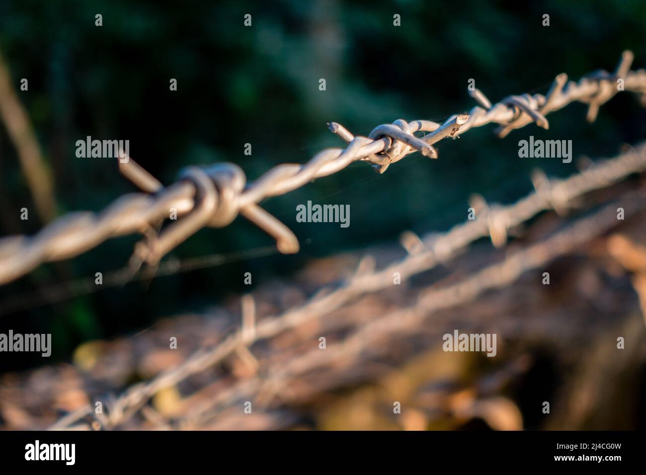Close up shot of barbed wire hi-res stock photography and images - Alamy