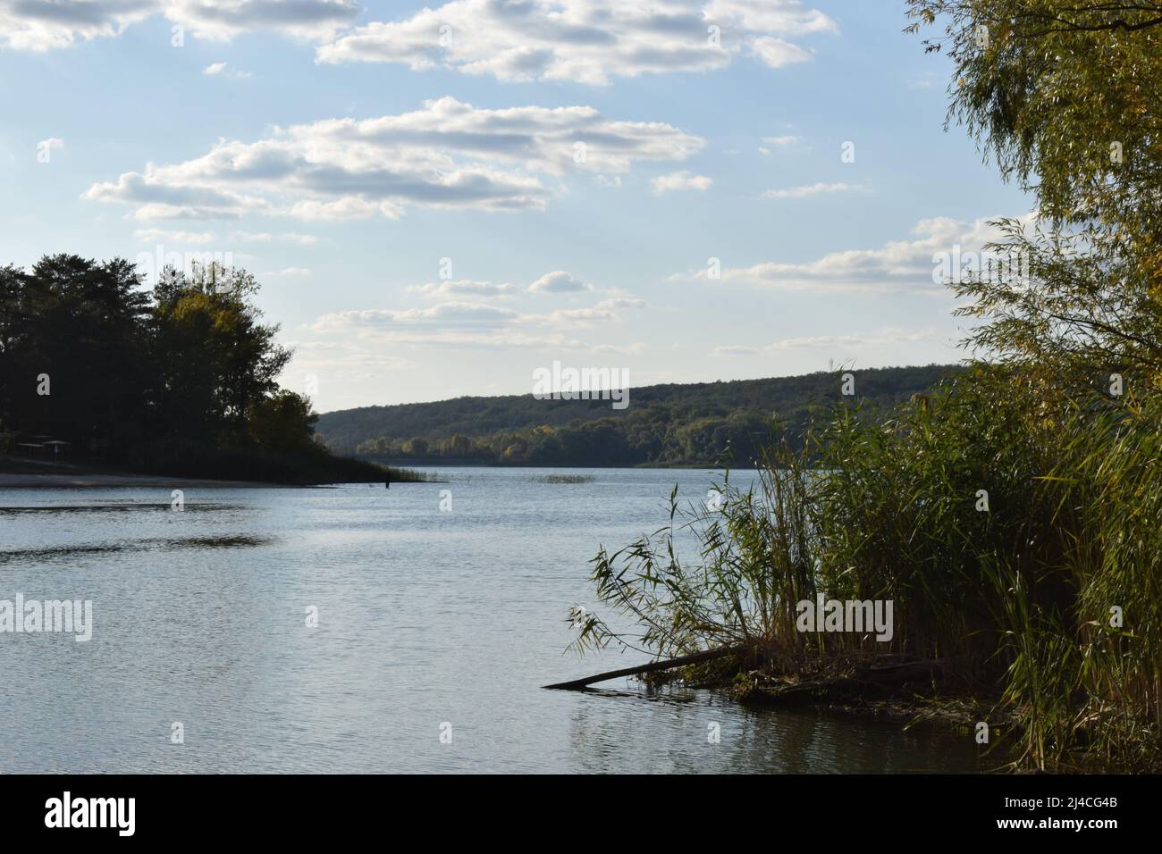 View of a beautiful forest lake designed for fishing, in the midst of ...