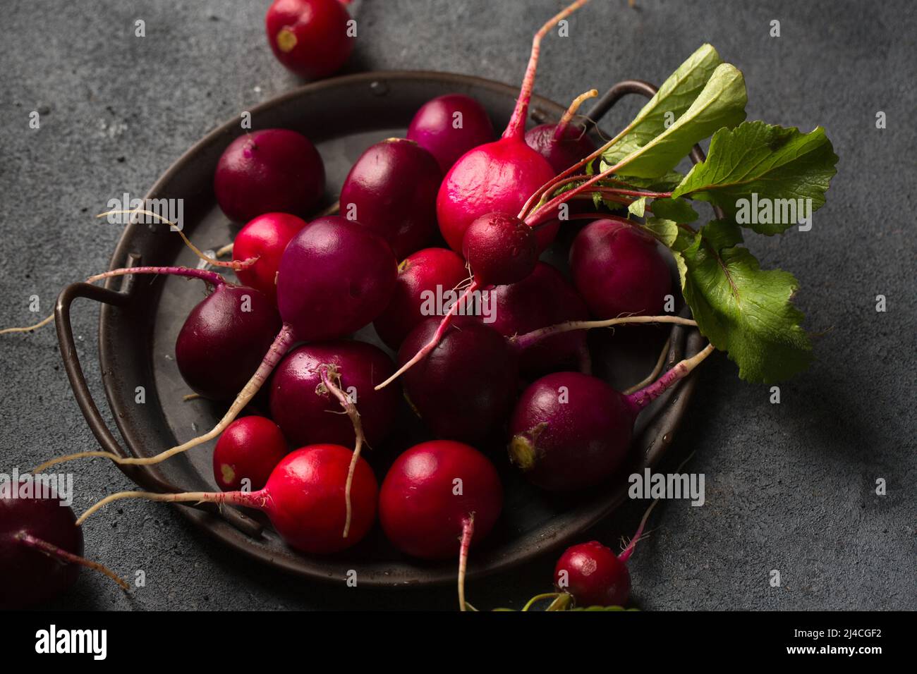 Round multi-colored radish on an old tray on a dark background Stock ...