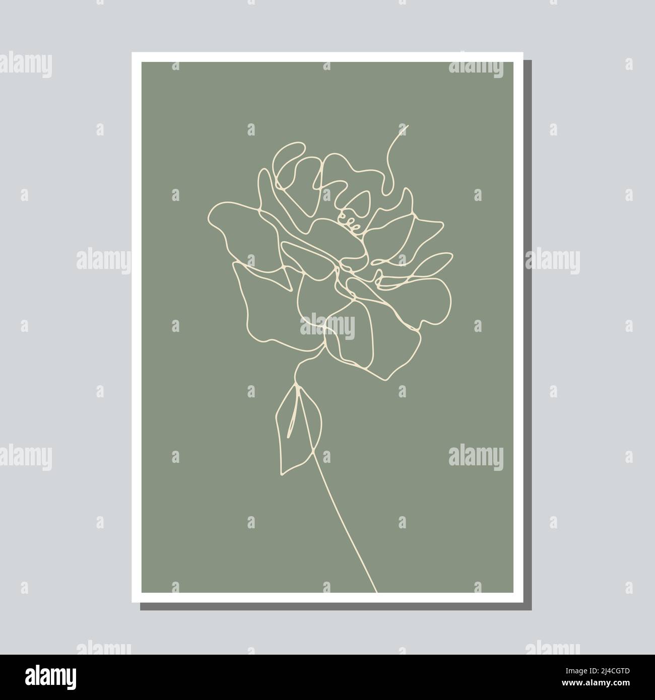 Rose Diagram Template