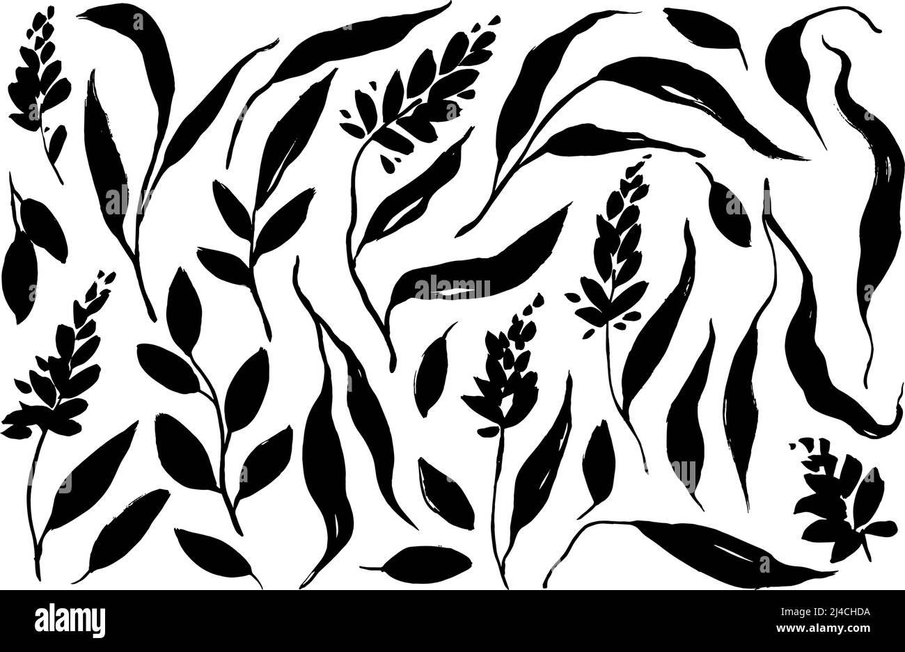 Long linear leaves Stock Vector Images - Alamy