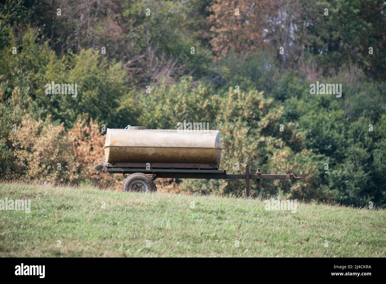 Domestic cattle (Bos taurus), mobile water trough in the form of a ...