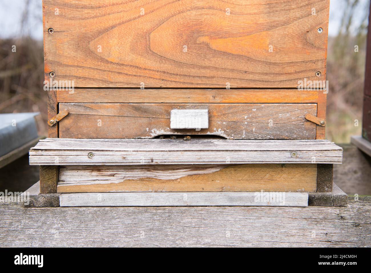 Close up bee boxes hi-res stock photography and images - Alamy