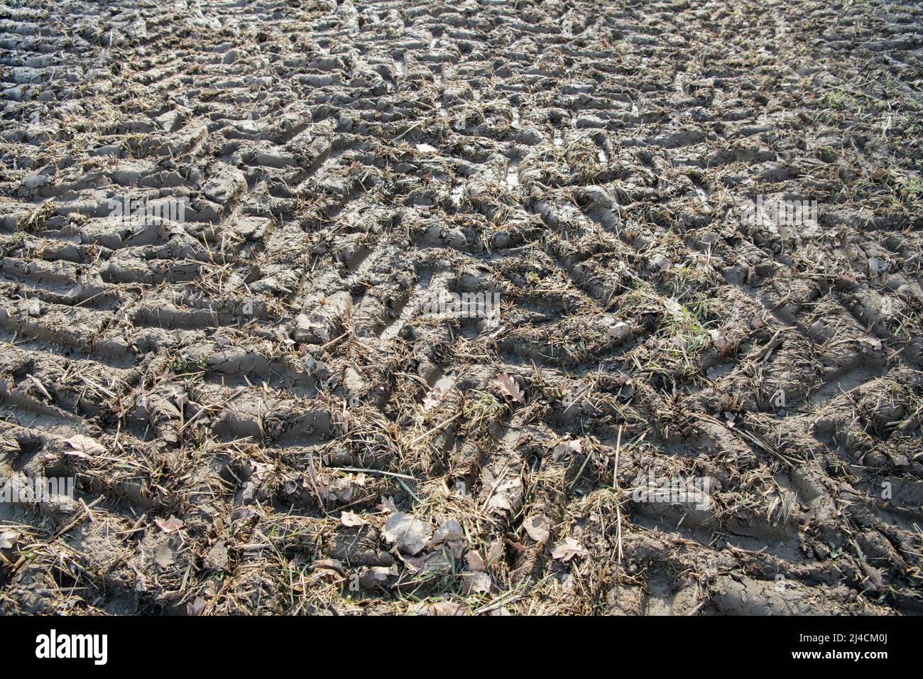 Soil compaction in the field, vehicle tracks, Duesseldorf, Germany ...
