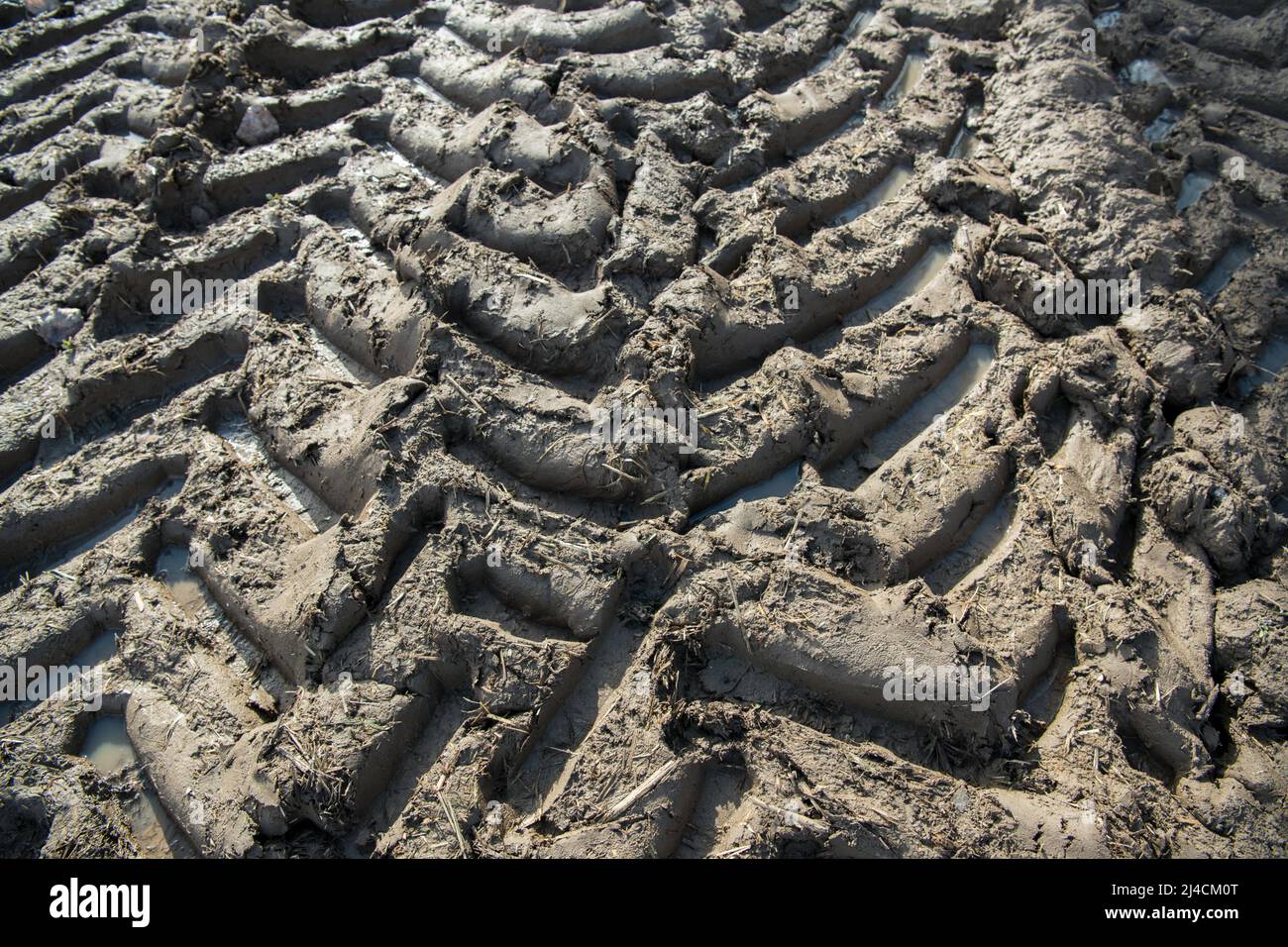 Soil compaction in the field, vehicle tracks, Duesseldorf, Germany ...