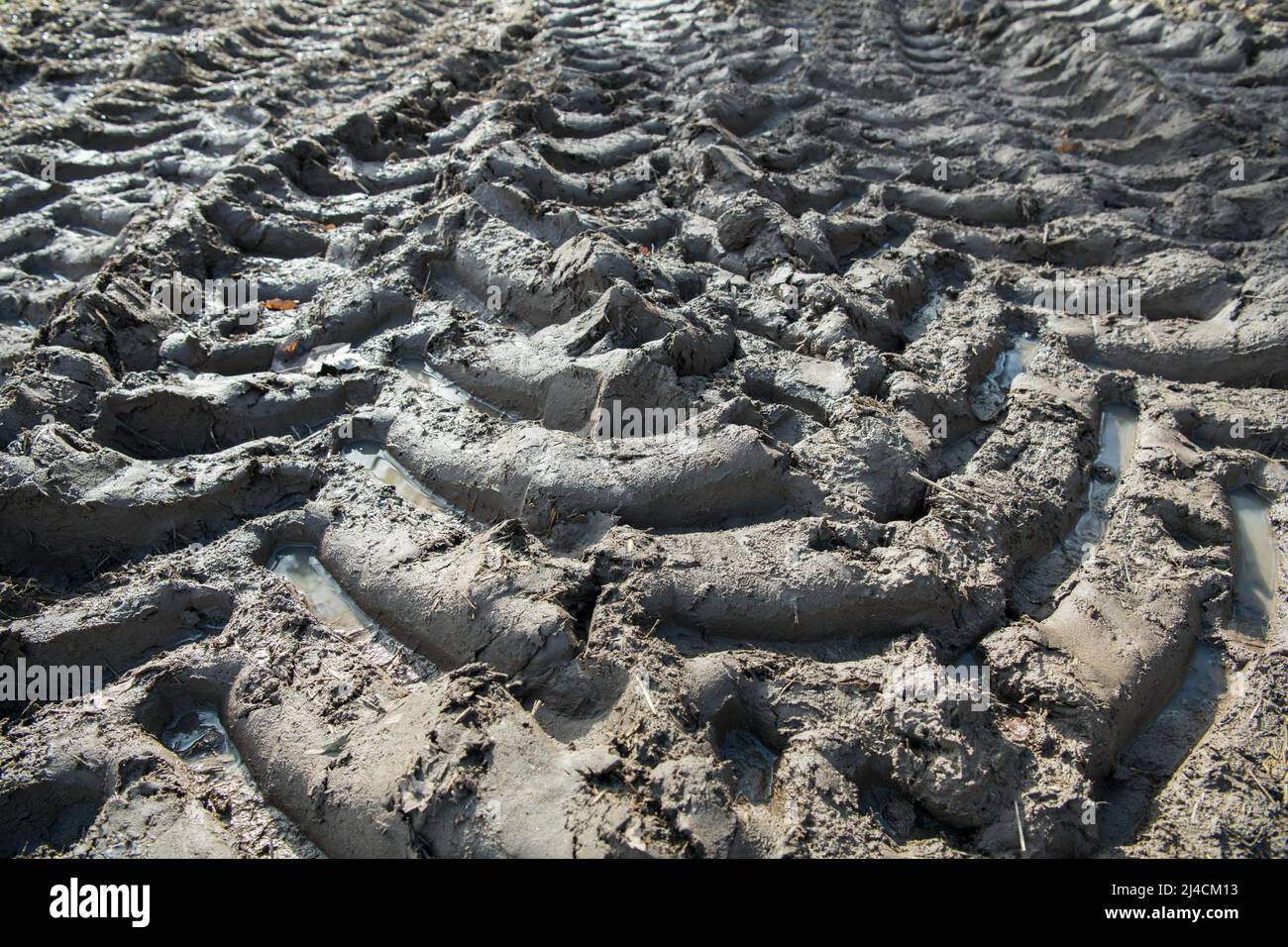 Soil compaction in the field, vehicle tracks, Duesseldorf, Germany ...