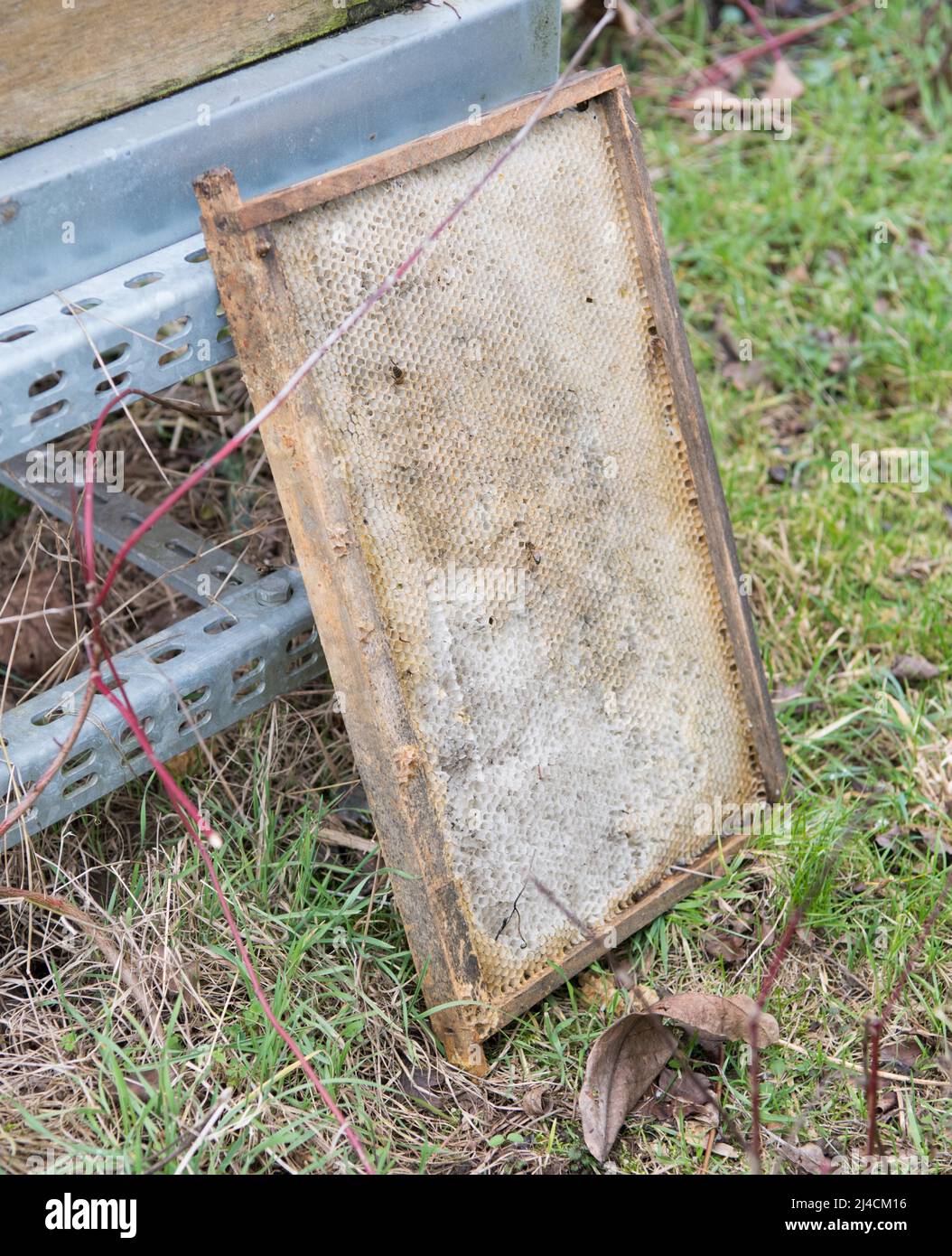 Bee boxes, honeycomb frame with honeycombs standing in front of bee box ...
