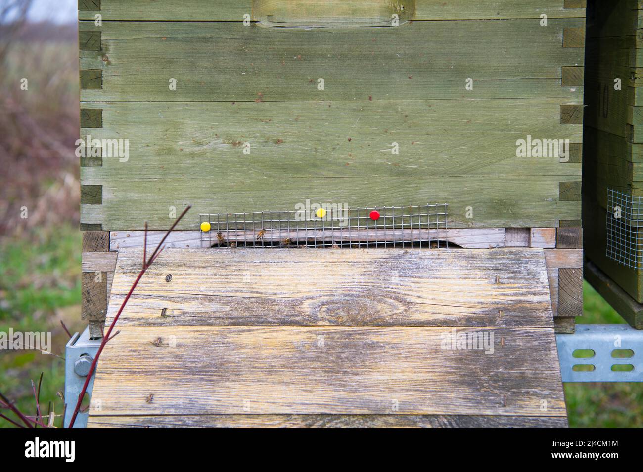 Bee boxes, Close-up entrance, Duesseldorf, Germany Stock Photo - Alamy